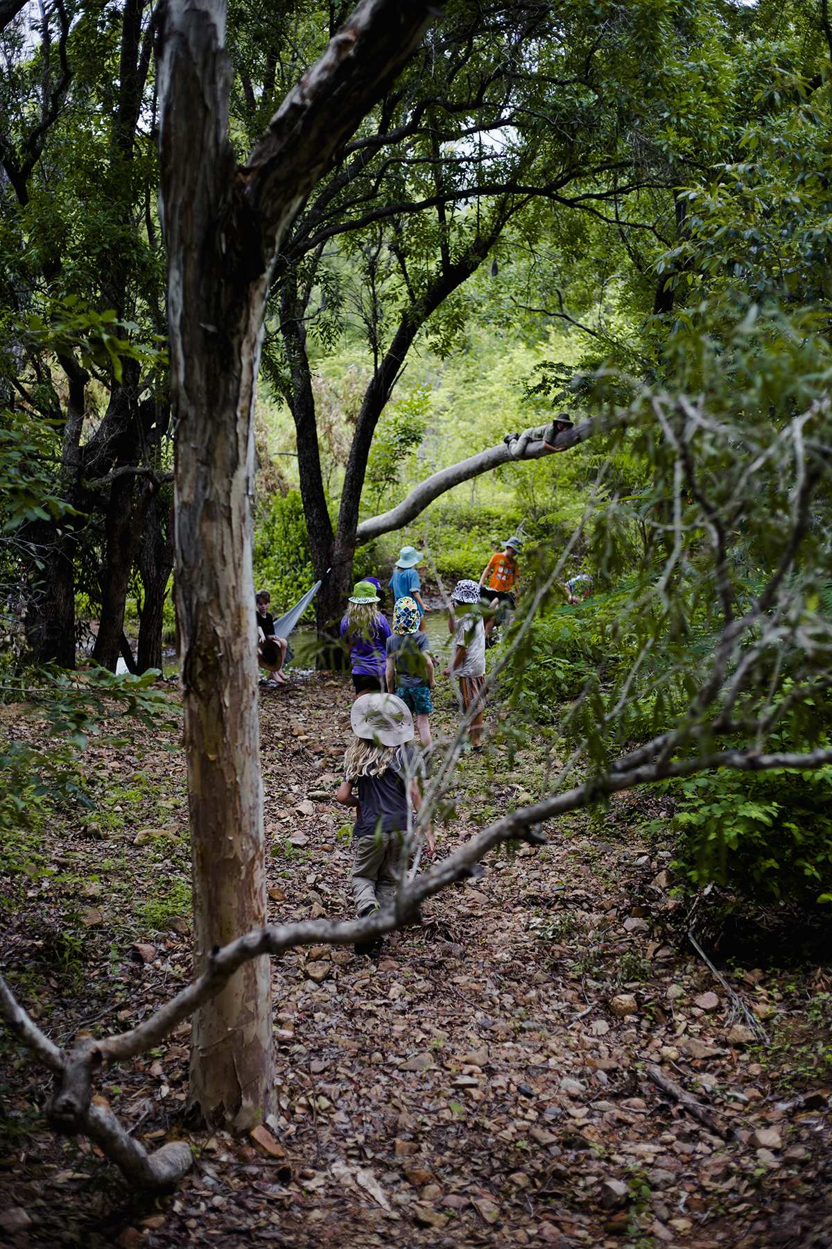Forest School - Enkindle Village School